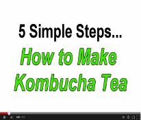 Kombucha Kamp | Kombucha Tea, Recipe, SCOBY Benefits, How To Brew