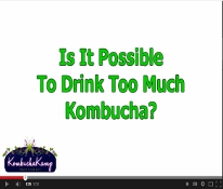 Kombucha Kamp | Kombucha Tea, Recipe, SCOBY Benefits, How To Brew