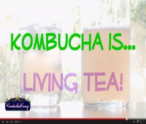 Kombucha Kamp | Kombucha Tea, Recipe, SCOBY Benefits, How To Brew