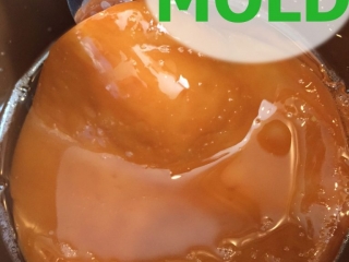 Healthy Kombucha SCOBY Growth including Unusual Kombucha SCOBYs ...