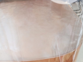 Healthy Kombucha SCOBY Growth including Unusual Kombucha SCOBYs ...