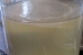 Young Normal Kombucha SCOBY and Yeast Growth - Kombucha Kamp