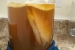 Healthy Kombucha SCOBY Growth including Unusual Kombucha SCOBYs ...