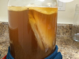 Healthy Kombucha SCOBY Growth including Unusual Kombucha SCOBYs ...