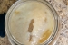 Healthy Kombucha SCOBY Growth including Unusual Kombucha SCOBYs ...