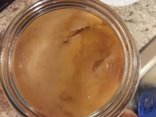 Healthy Kombucha SCOBY Growth including Unusual Kombucha SCOBYs ...