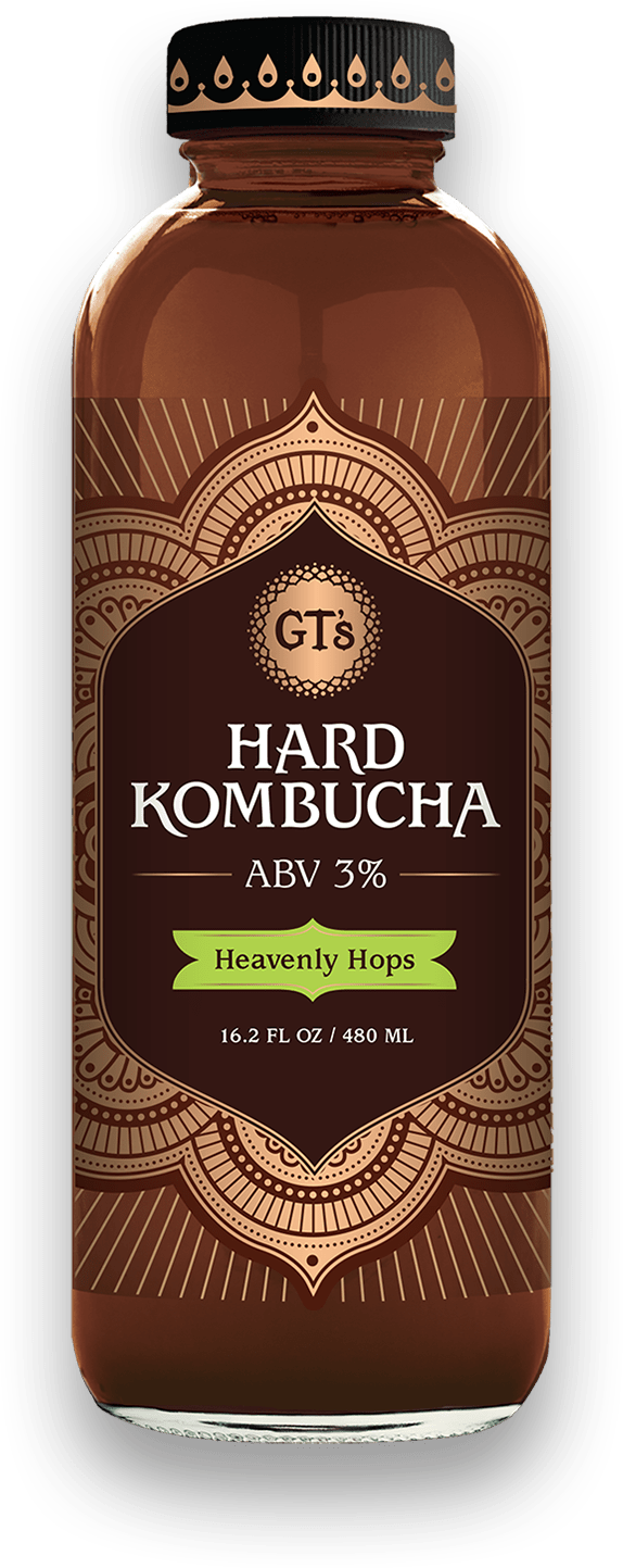 Hard Kombucha - Check Out All These Kombucha Beers For Sampling!