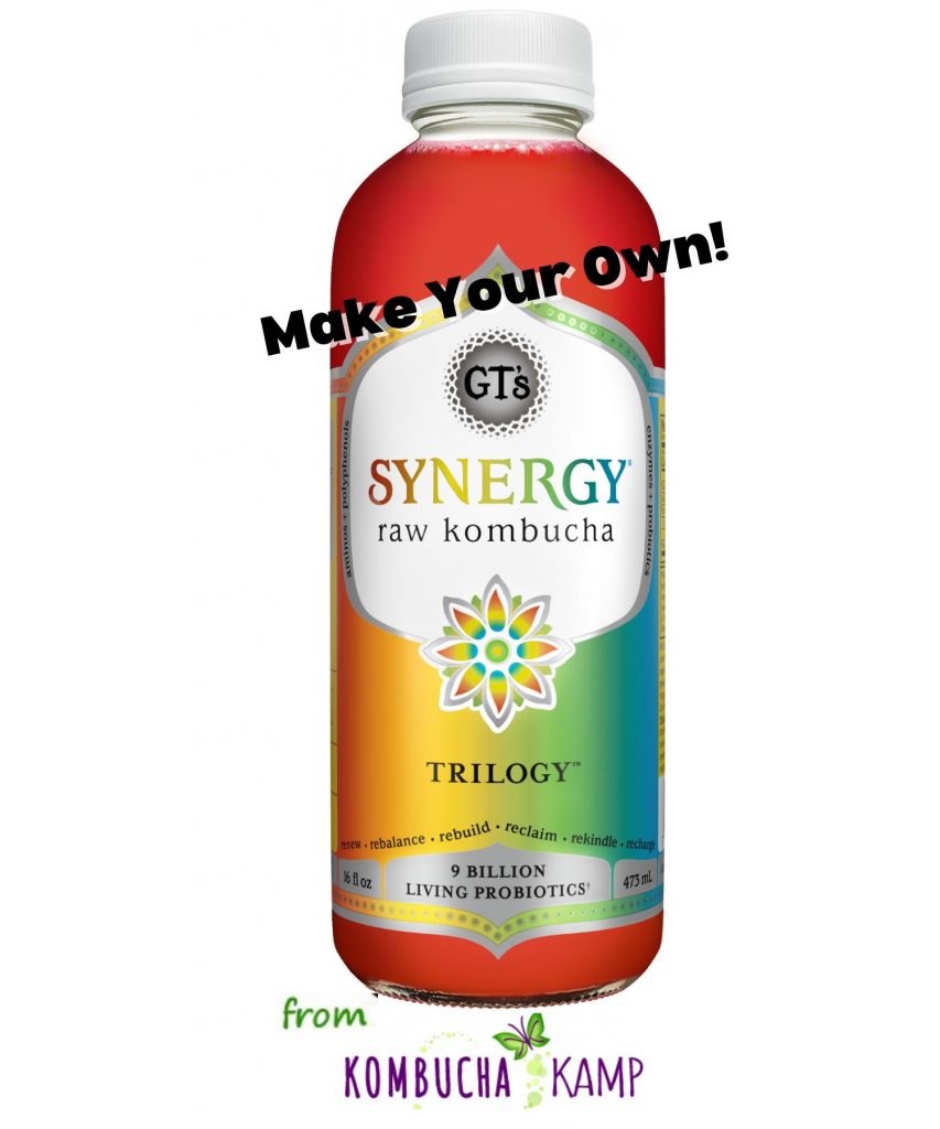 Copycat GT Kombucha Flavors at Home with these Recipes & Tips