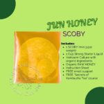 Organic Jun Culture SCOBY for 1 Gallon of Jun Fermented Tea