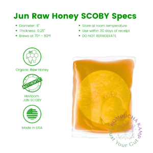 Organic Jun Culture SCOBY for 1 Gallon of Jun Fermented Tea