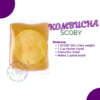 Fresh Kombucha SCOBY for Sale