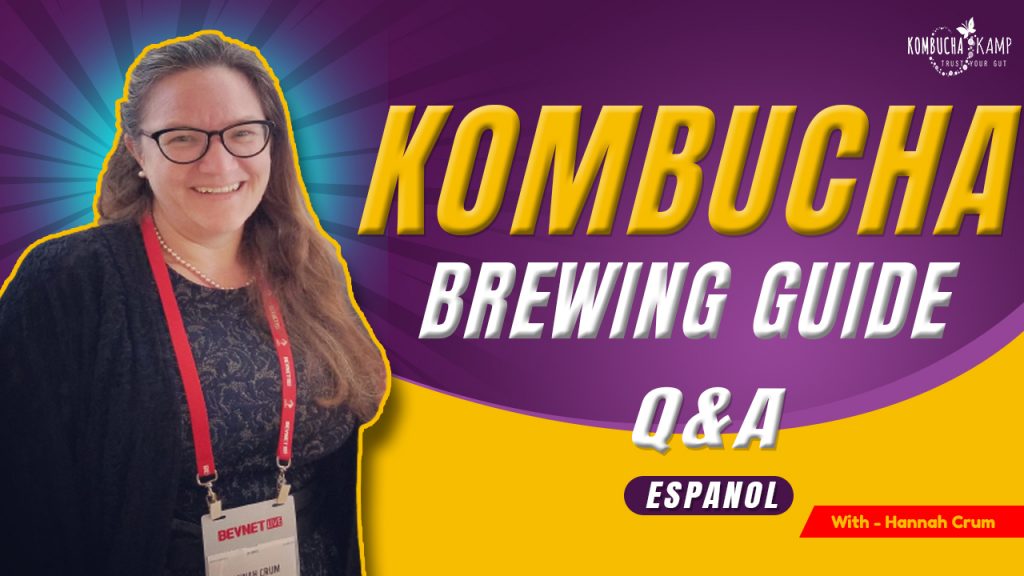 Ask Mamma Anything: Spanish Q&A - Kombucha Kamp