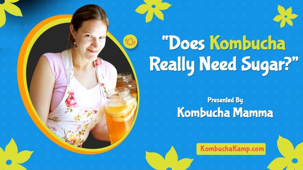 Does Kombucha really need sugar to make kombucha? - Kombucha Recipe FAQ - Kombucha Kamp
