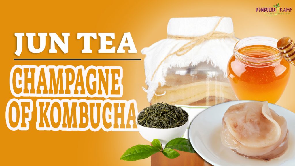How about JUN Tea: The Champagne of Kombucha - Kombucha Kamp