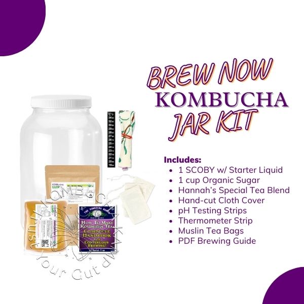 Kombucha Brew Now Jar Kit - exclusively from Kombucha Kamp