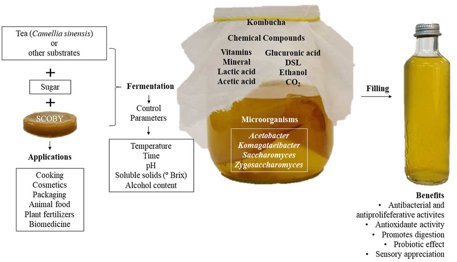 Why Kombucha Businesses Need a Food Safety Plan - Kombucha Kamp