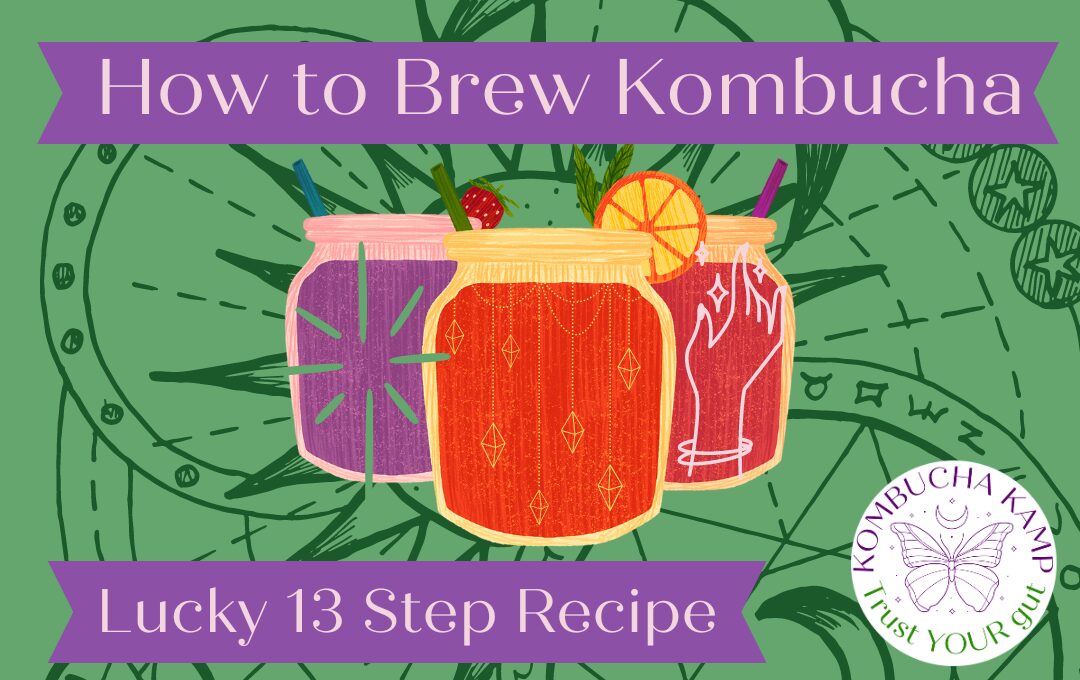 Kombucha Recipe: 1 Gallon "Shortcut" Method | Kombucha Kamp