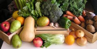 Kombucha Health Benefits: Vitamins and Minerals - Kombucha Kamp