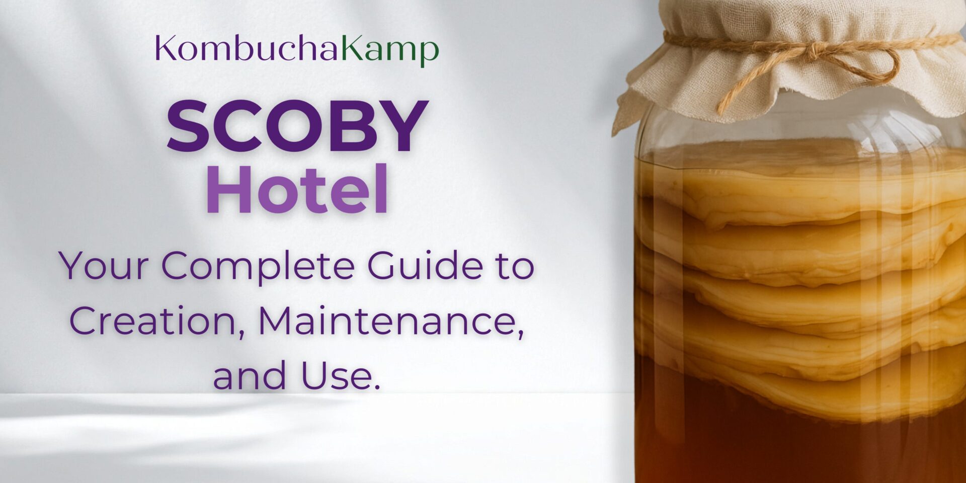 Scoby Hotel Video Quick Tip - Kombucha Kamp
