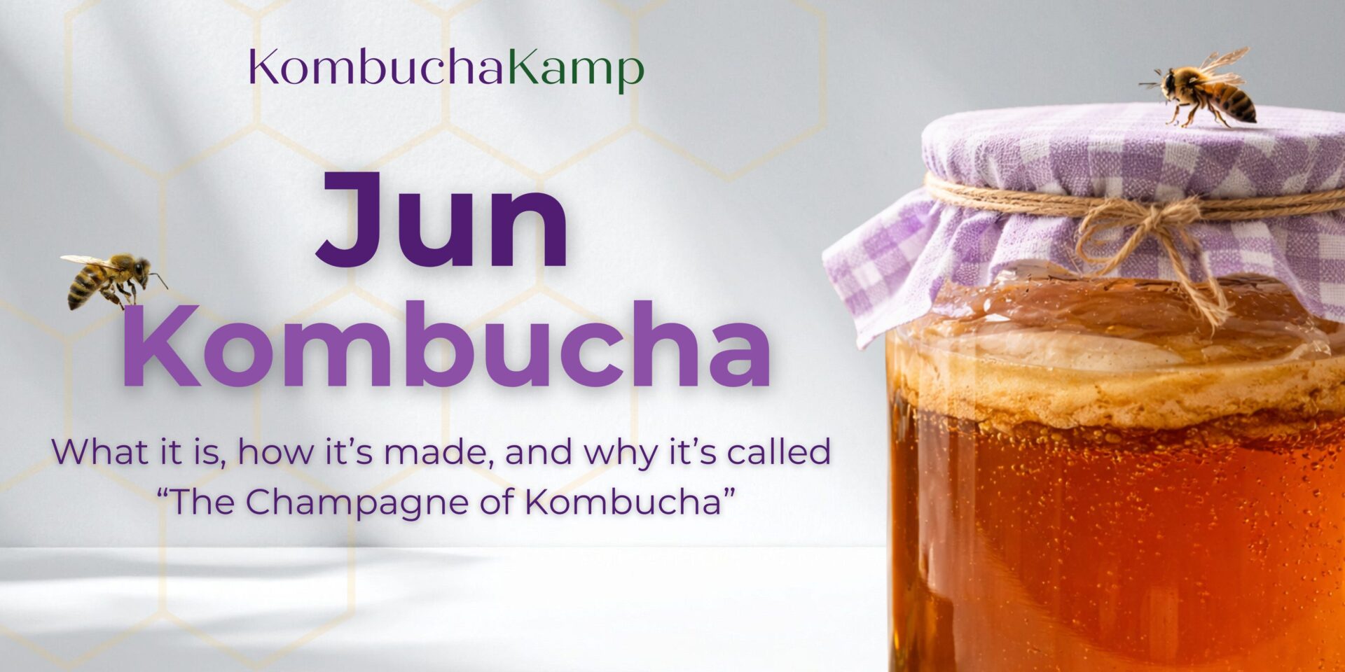 Jun Tea Recipe & Flavoring Guide | Kombucha Kamp