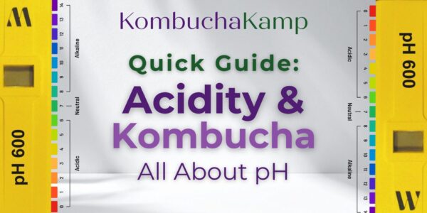 pH & Kombucha - Kombucha Kamp